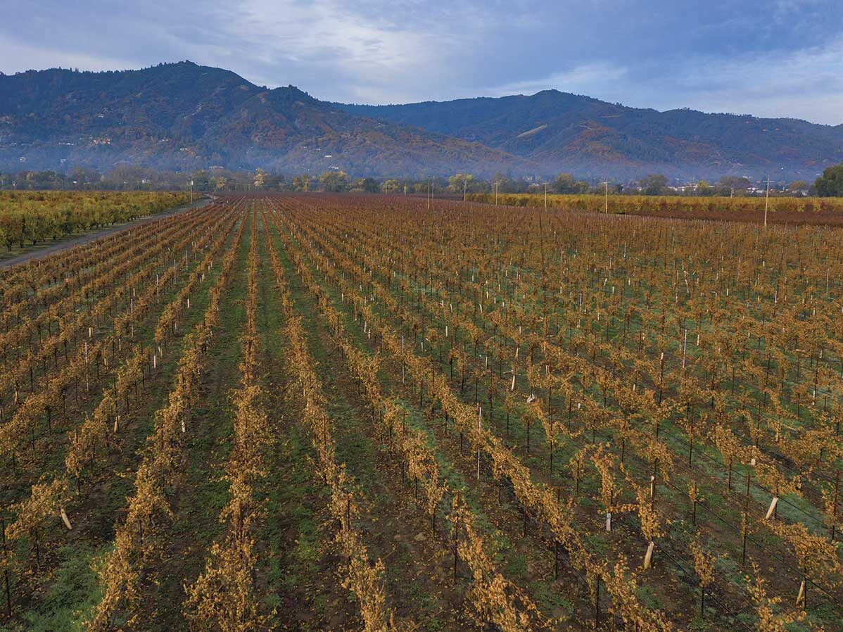 Beckstoffer Vineyards - Napa Valley Life Magazine