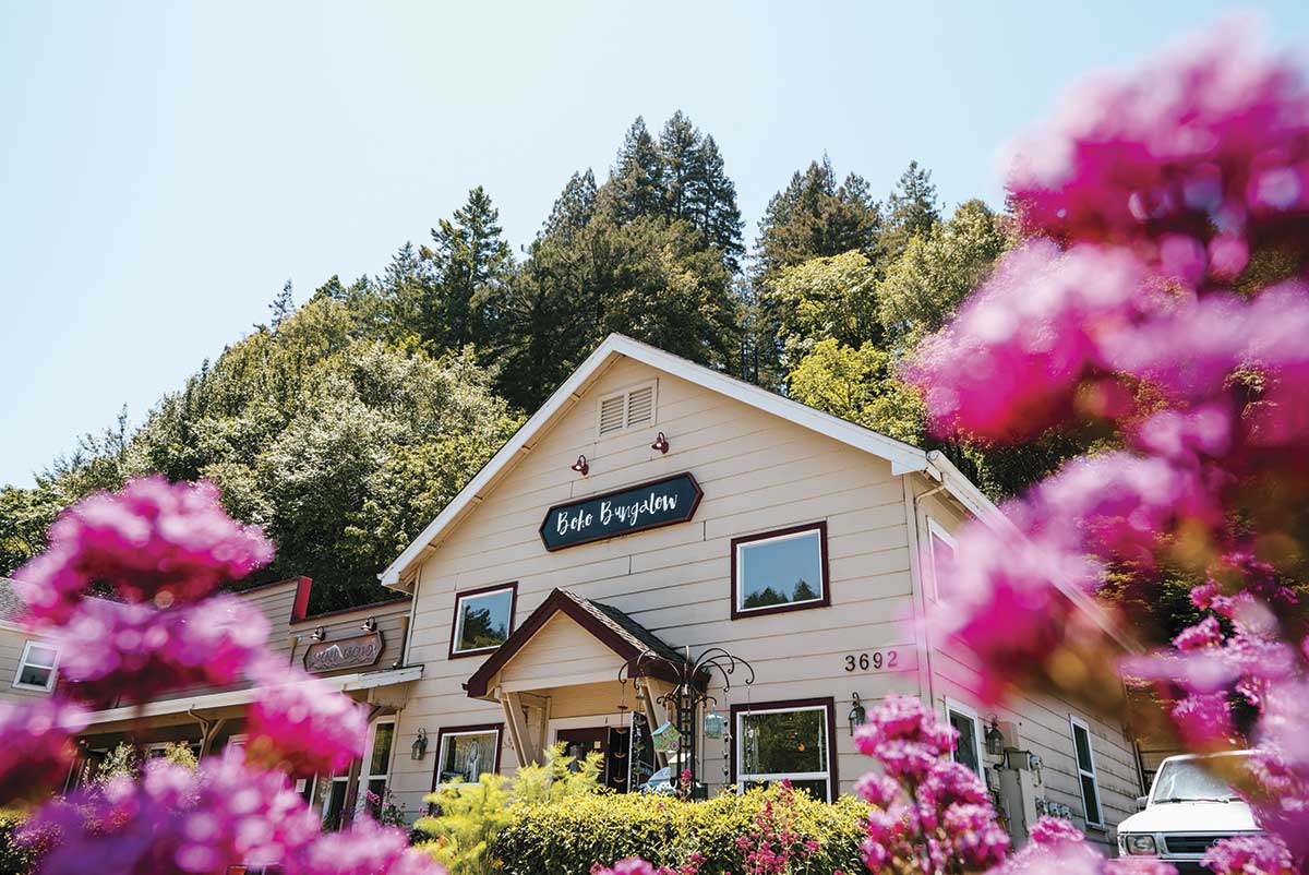 The Bohemian Highway inSonoma County Lives On - Napa Valley Life Magazine